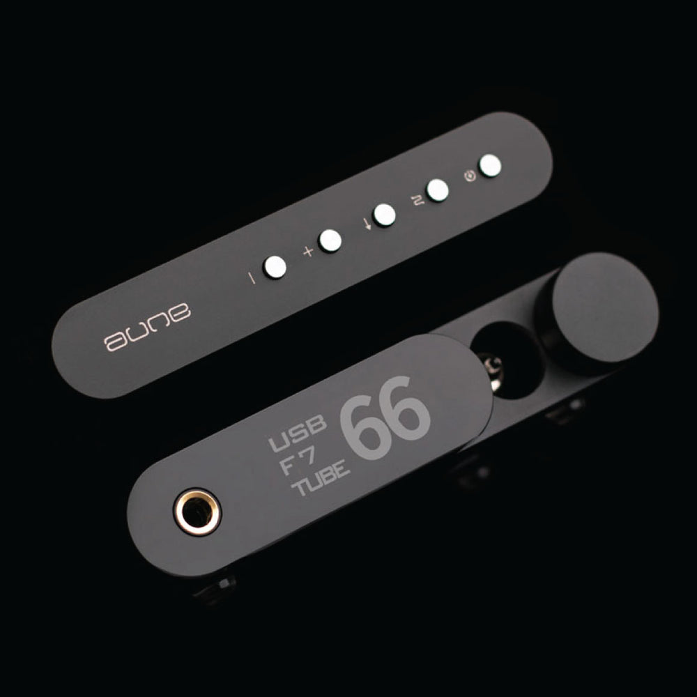 Aune Audio Flamingo Tube DAC Headphone Amp