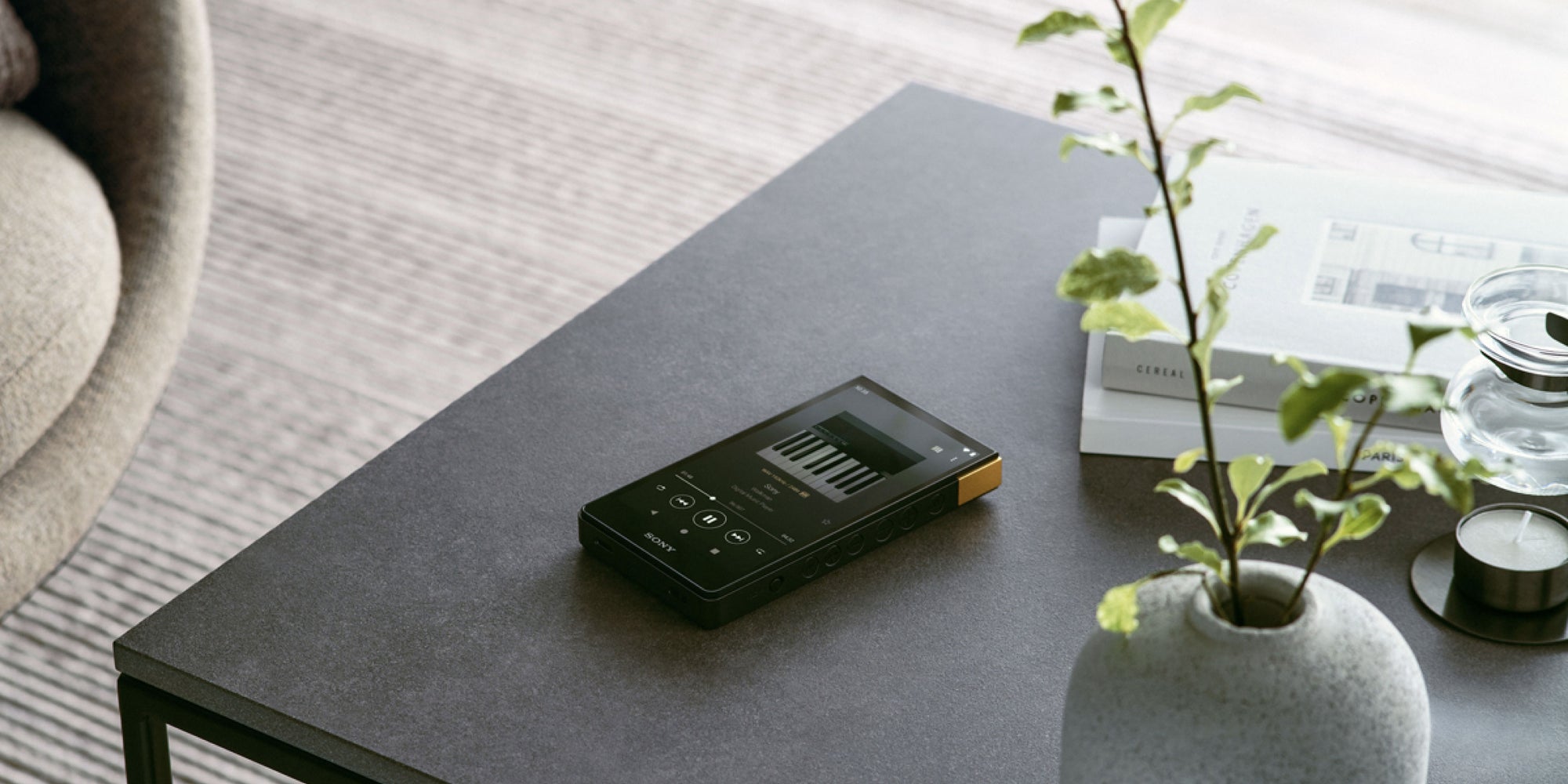 Portable Hi-Res Digital Audio Player (DAPs)