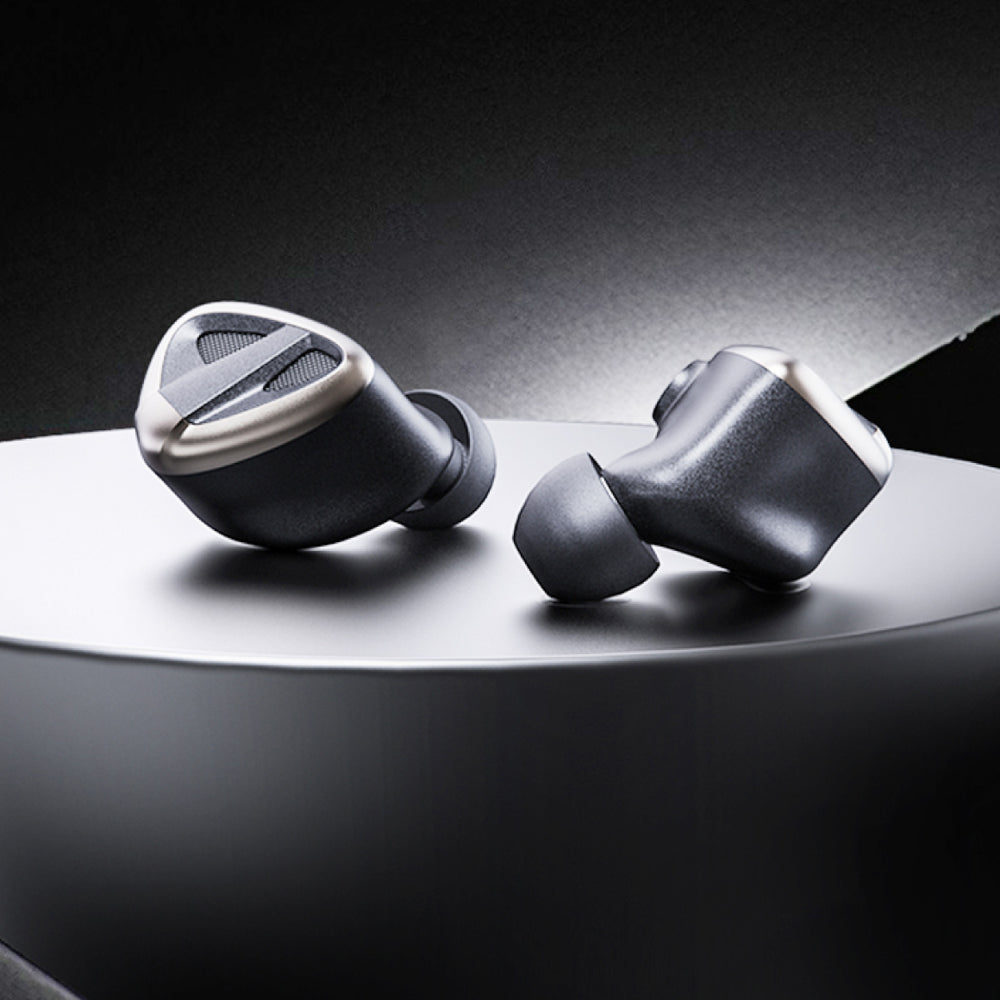 FiiO FH19 2 DD + 6 BA Drivers In Ear Monitors