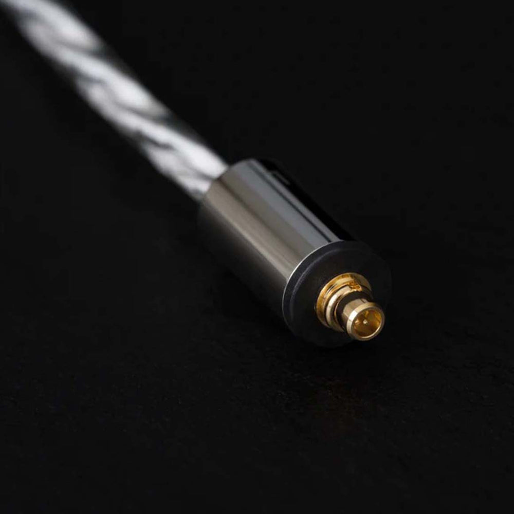 Buy the Final A10000 Dynamic Driver IEM