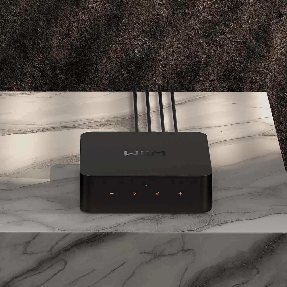 WiiM Pro / Pro Plus Versatile Audiophile Streaming