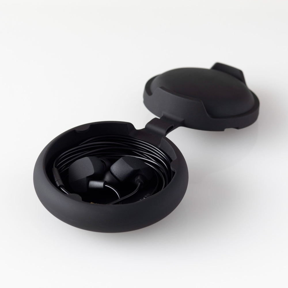 Final A3000 Dynamic Driver IEM