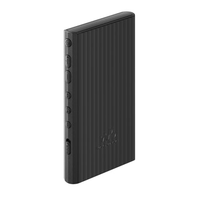 Sony NW-A306 Portable Audio Player