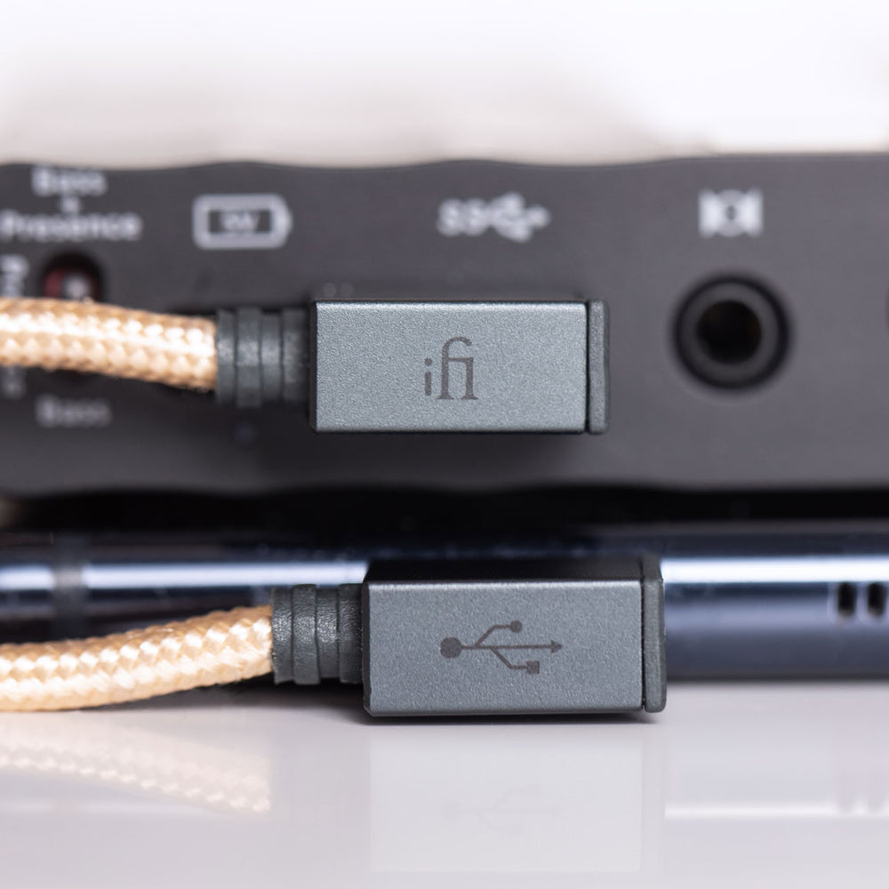 iFi Audio 90 Degree Type-C OTG Cable