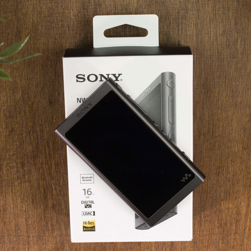 Sony NW-A55 High Resolution Digital Music Player