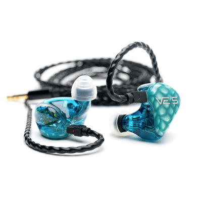 Vision Ears In-Ear Monitors